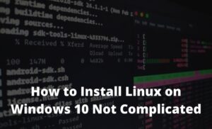 How To Install Linux On Windows 10 PC Laptop 2025 - Technadvice
