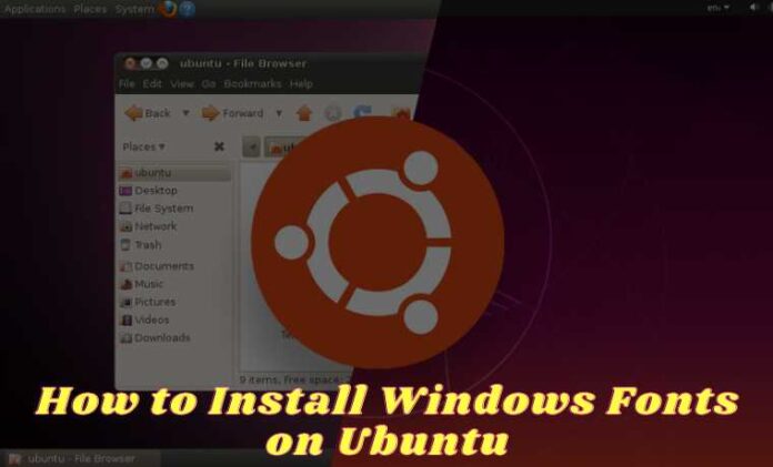How To Install Windows Fonts On Ubuntu 2024 - Technadvice
